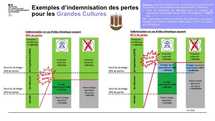 La réforme des outils de gestion des risques climatiques en agriculture ...