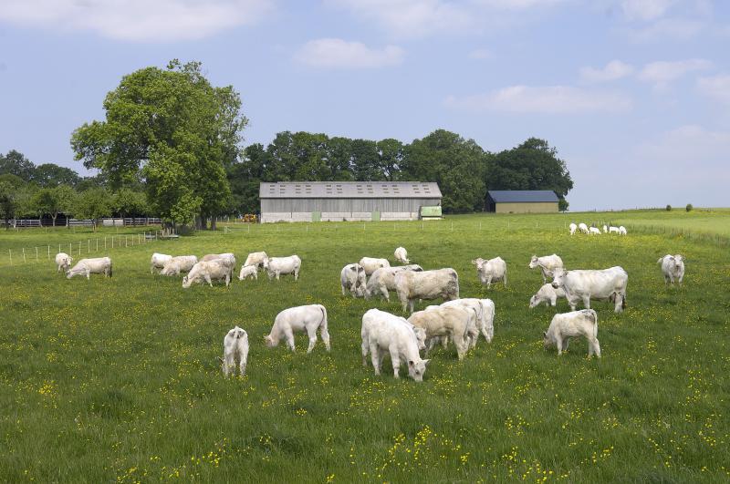 Piloter la fertilisation de sa prairie avec Date N’Prairie, c’est ...