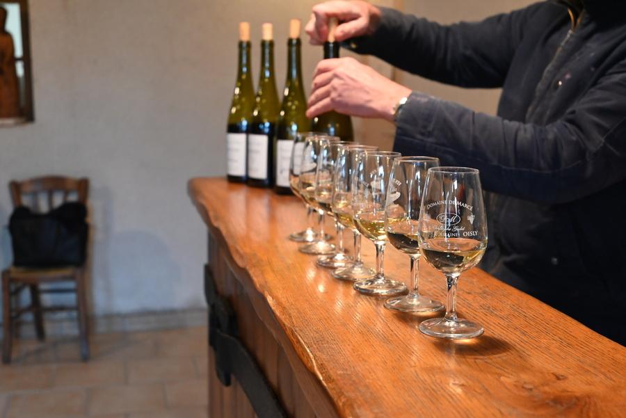 À la découverte du vin grâce à la dégustation et à l’œnologie | horizons