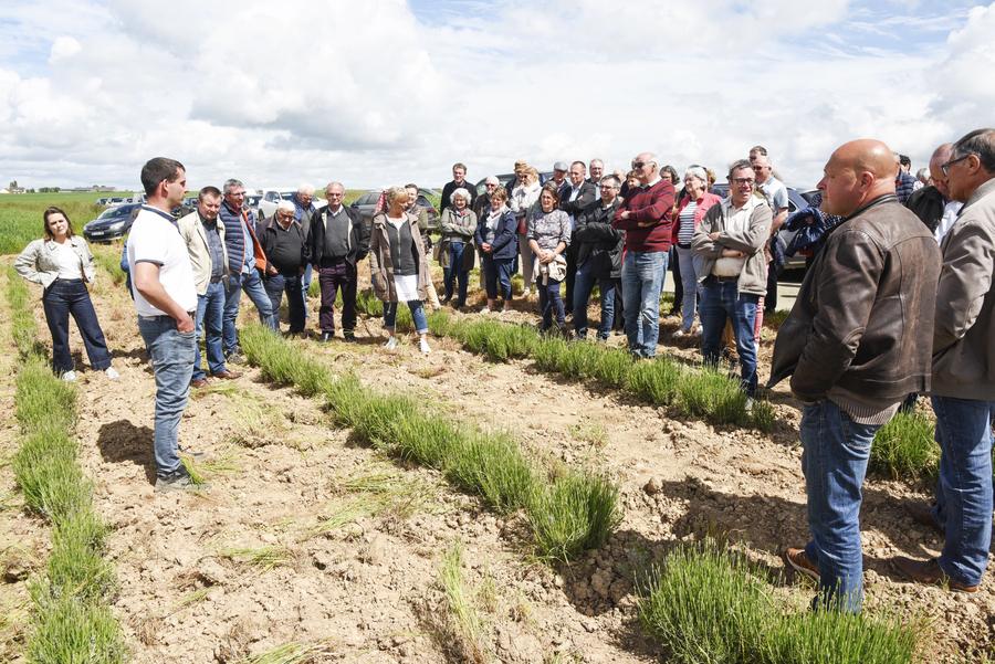 Le comice de Dangeau est lancé | horizons