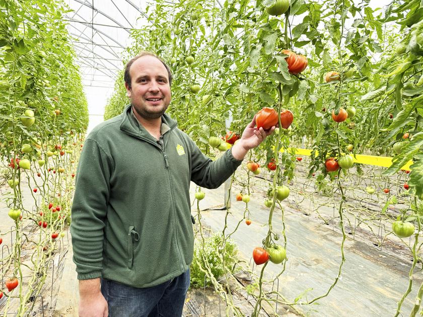 Louis Thomassin : « Protéger le maraîchage et l'arboriculture » | horizons