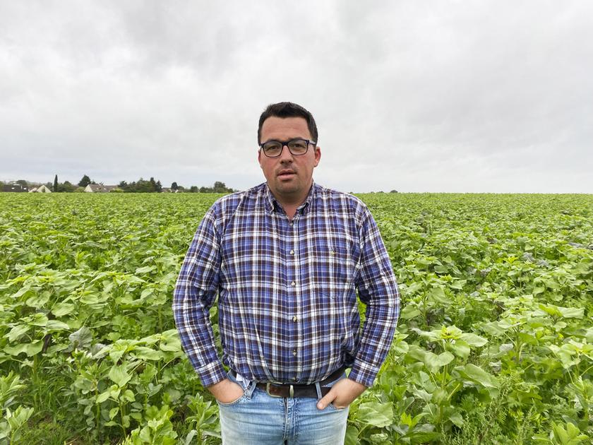Christophe Parent : « Apporter une vision stratégique » | horizons