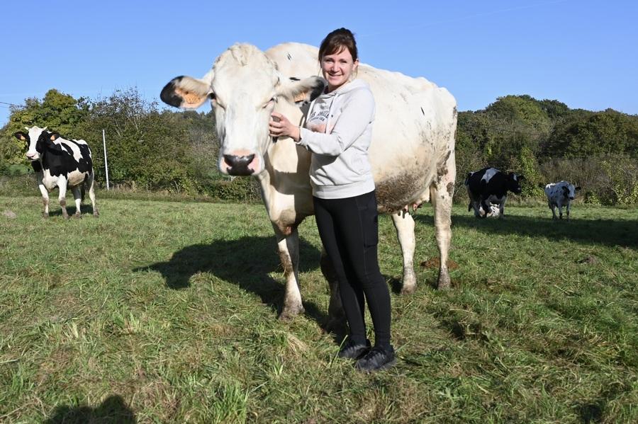 Élevage laitier | horizons