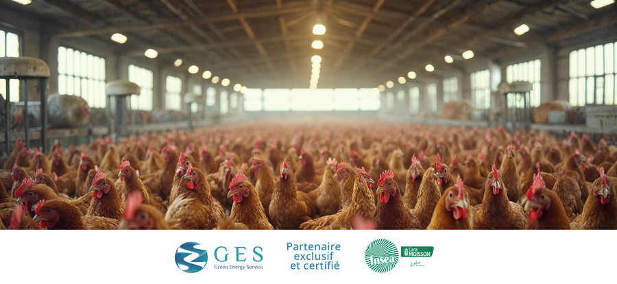 La carte Moisson, un vrai bénéfice | horizons