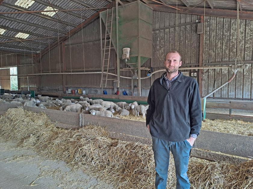 « J'ai réaménagé mon bâtiment pour les vaches laitières en bergerie ...