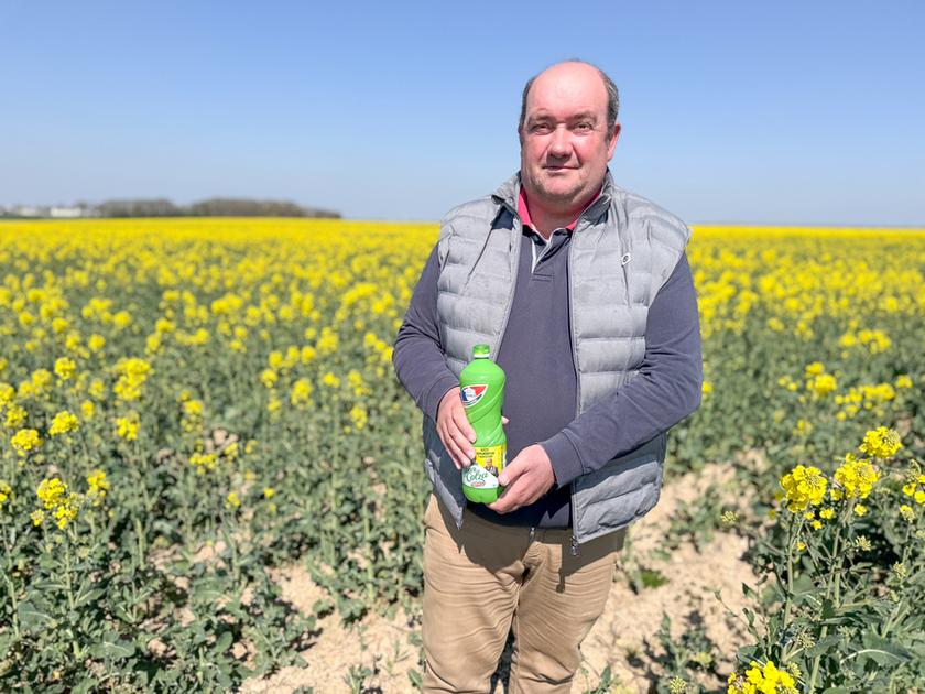 Pierre Pelletier sur les bouteilles Fleur de colza | horizons