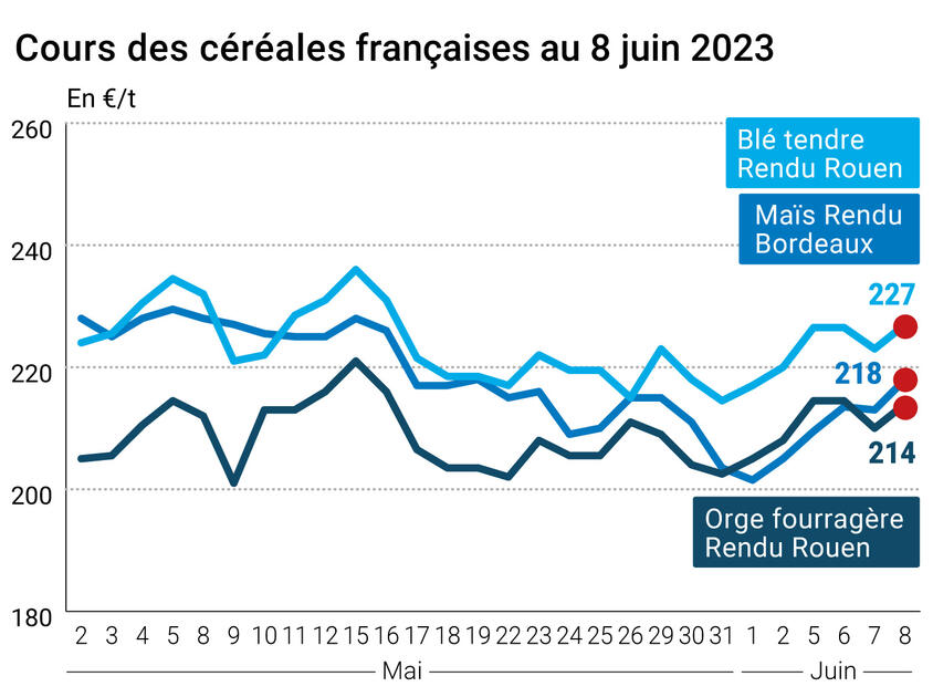 COTidienne | Prix des céréales - Progression des cours du blé et du ...