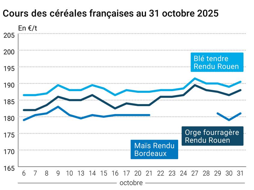 COTidienne | Marché des céréales du 31 octobre 2025 - Le retour de la ...