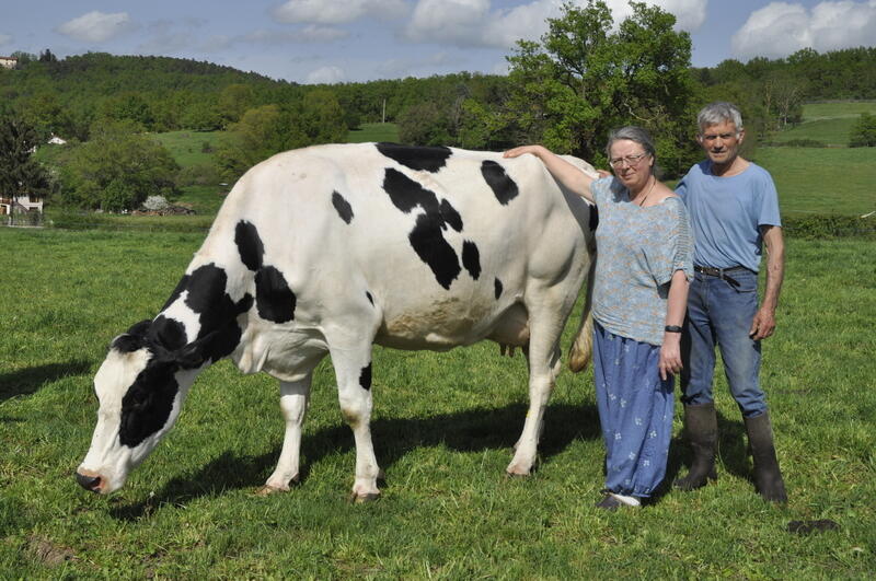 « Nous ne savons pas vendre une vache maigre » | Réussir lait