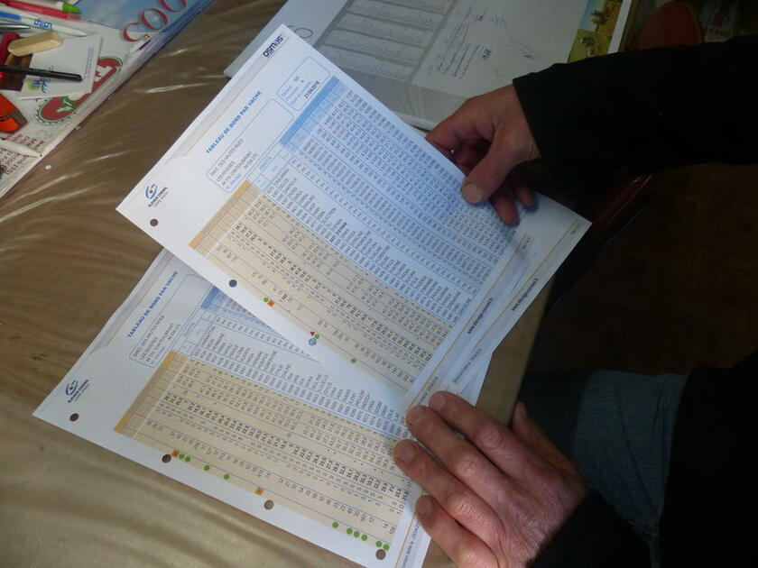 Bien tarir | Réussir lait