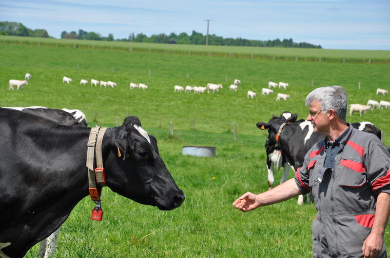 « Le Heatphone facilite notre travail et organisation » | Réussir lait