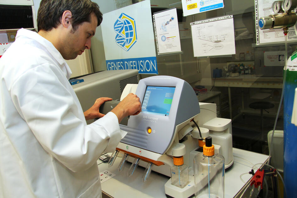 Sélection : Gènes Diffusion propose trois nouveaux index | Réussir lait