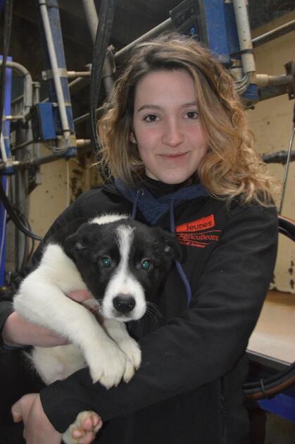 Salariée d'élevage, Élise aime son indépendance | Réussir lait