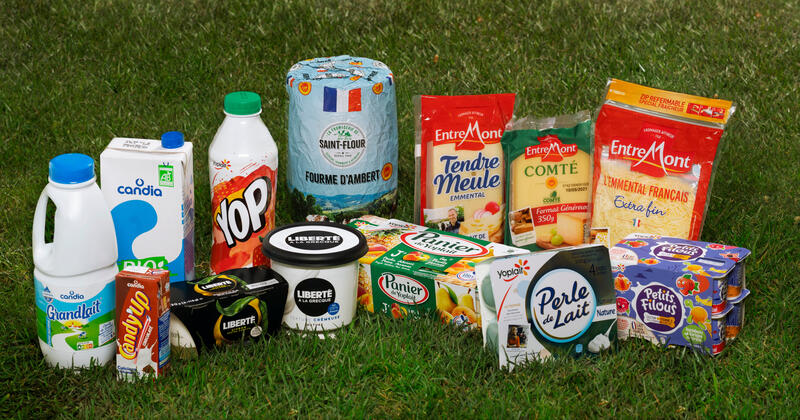 Sodiaal redistribue 11 millions d’euros à ses sociétaires | Réussir lait