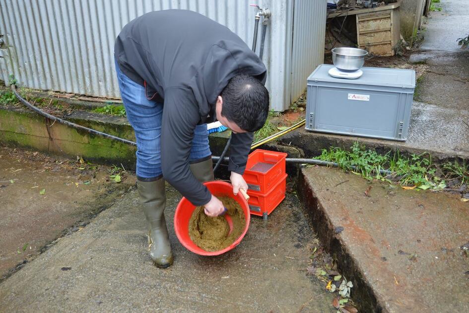 Analyse de bouse : comment bien les réaliser ? | Réussir lait