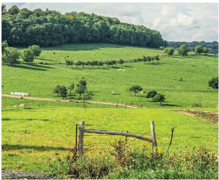 Avec Carsolel, évaluez les stocks de carbone de vos prairies | Réussir lait