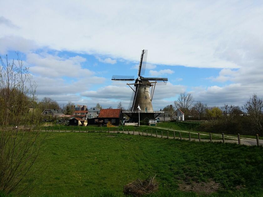 [Covid-19] Aux Pays-Bas, la filière veaux de boucherie est dans le ...