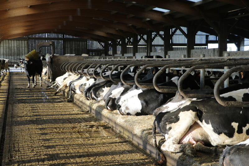 Dimensions des logettes : mise à jour des recommandations par gabarit ...