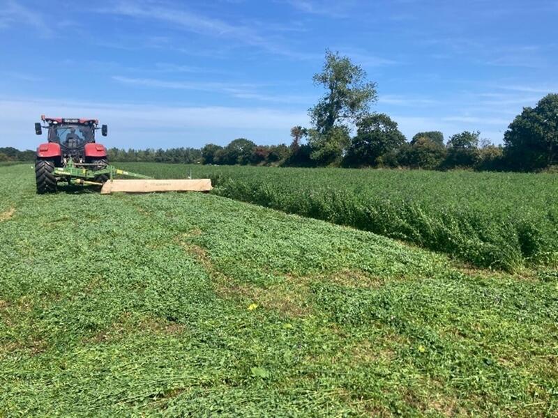 La prairie de fauche allie production fourragère et préservation de l ...