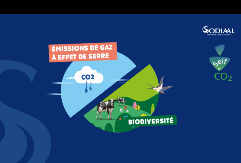 Lait bas carbone : Sodiaal propose une prime de 1 à 5 € les 1000 litres ...