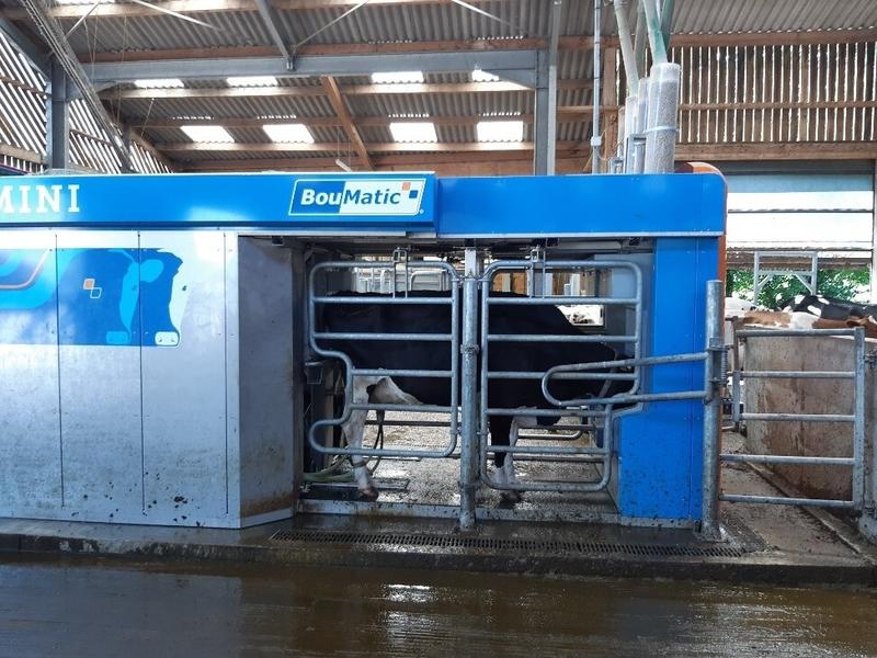 Élevage laitier : les bons calculs avant d’investir | Réussir lait