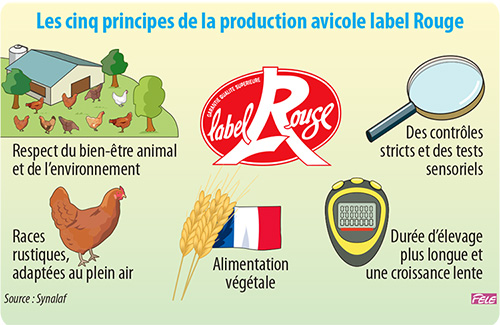 Promotion | La volaille label Rouge sur les réseaux sociaux | Réussir ...