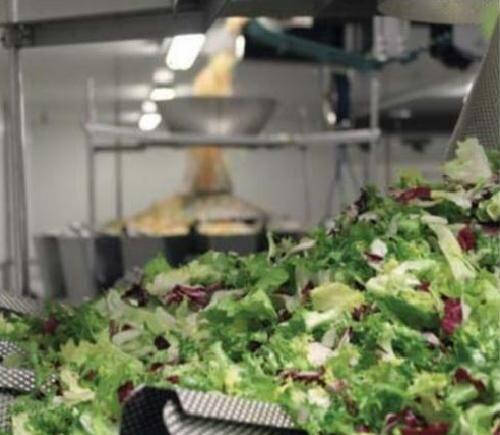 Salades prêtes à l'emploi : Agrafresh fait son nid en France | Les ...