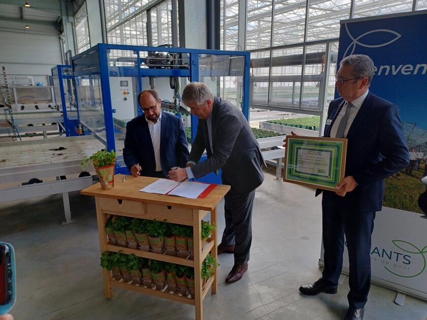 Carrefour et Bioplants lancent une filière d'herbes aromatiques ...