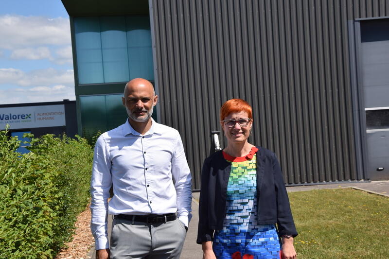 Proleval crée une ligne pilote pour valoriser féveroles, pois et lupins ...