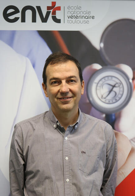 ENVT | Les Marchés by Réussir