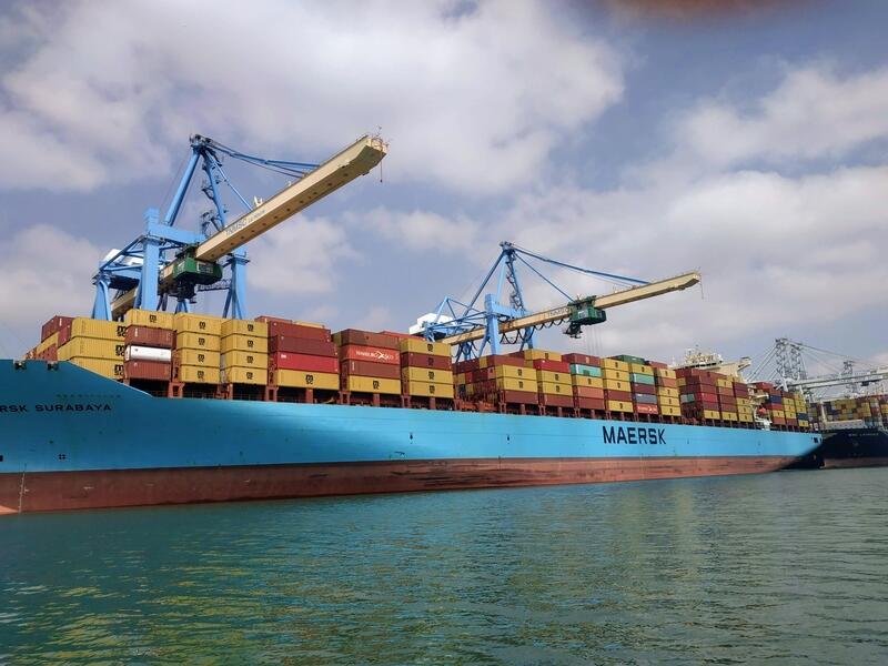 Viande bovine : pourquoi le Brésil pourrait battre des records en 2024 ...