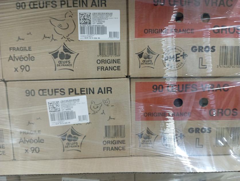 Œuf : moins d’acheteurs en cage, le sol manque | Les Marchés by Réussir