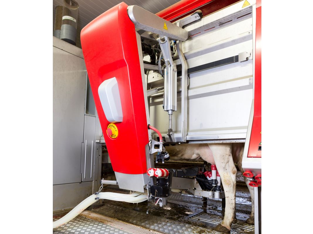 Robot de traite | La dextérité du bras du robot influence la capacité de traite | Réussir machinisme