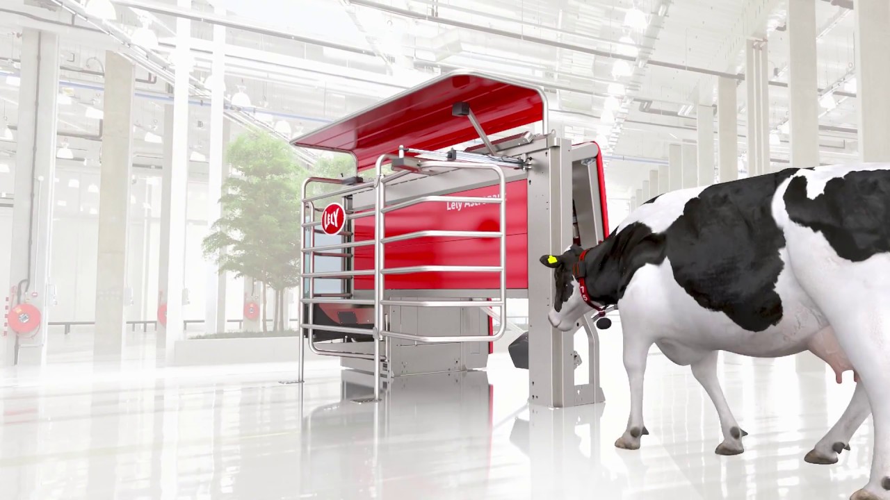 Lely | Cinquième génération de robots de traite | Réussir machinisme