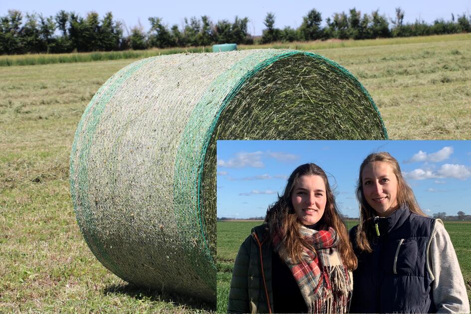 Agriliant – Deux étudiantes veulent développer des filets et ficelles ...