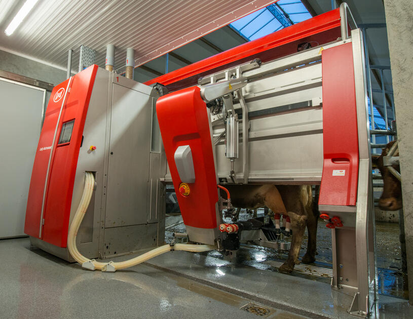 Lely - Cinquième génération de robots de traite avec l'Astronaut A5 ...