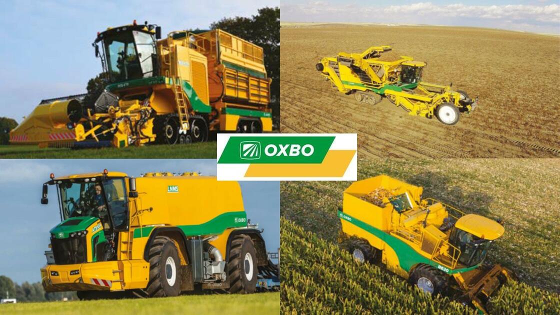 Le groupe Ploeger Oxbo surfe sur la marque Oxbo | Réussir machinisme