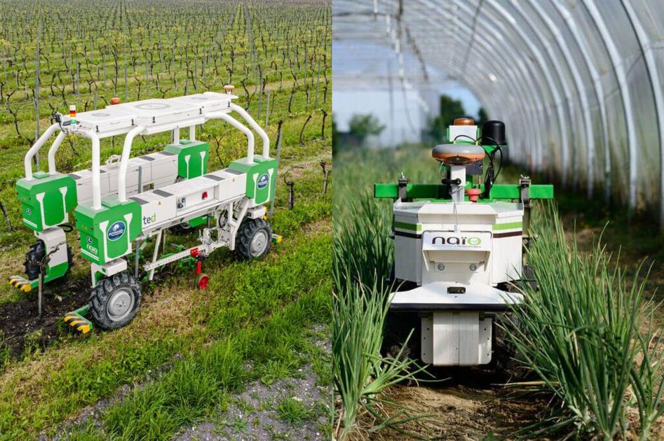 Naïo Technologies placé en redressement judiciaire | Réussir machinisme