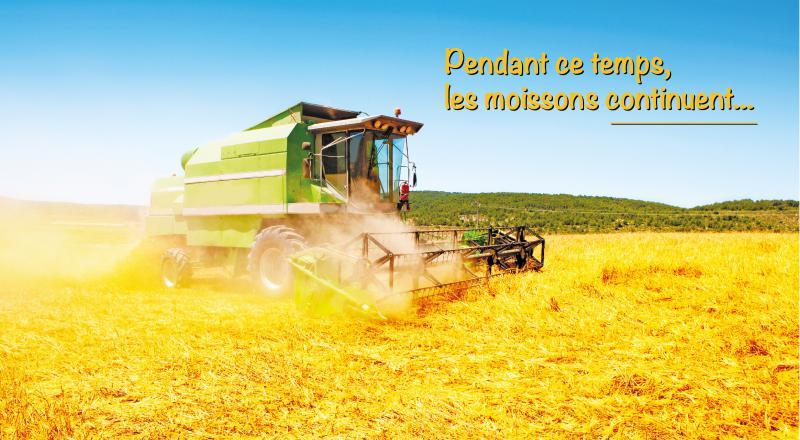 Une moisson 2018 moindre qu’en 2017, mais avec une qualité maintenue ...