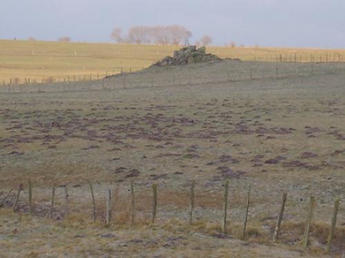 Rats taupiers | “Que faire pour sauver nos prairies des rats taupiers ...