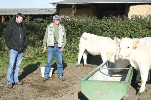 Bovin Croissance | Un regard technique mais un regard neutre ...