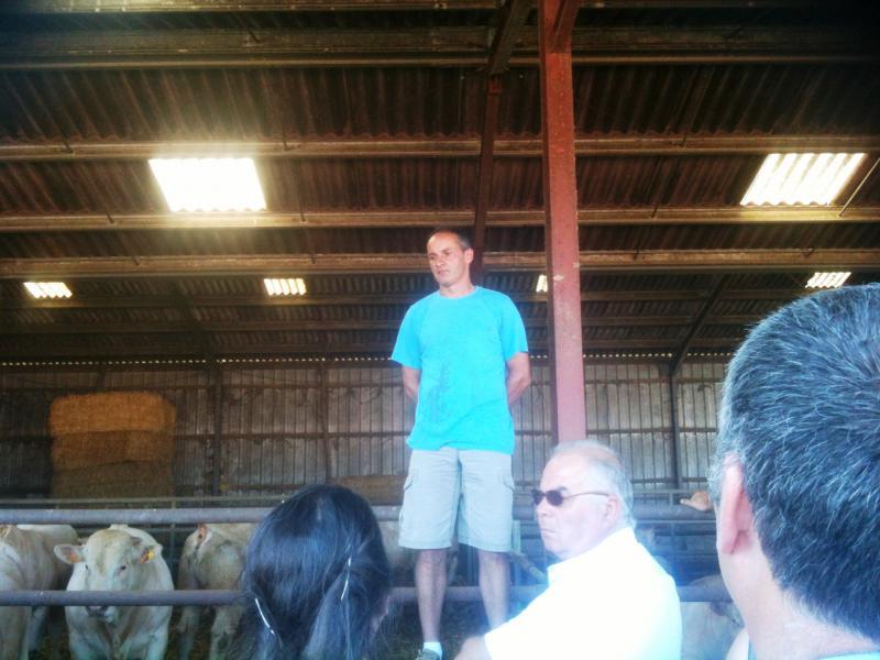 La coopération se penche sur la filière bovine | Agriculture Massif ...