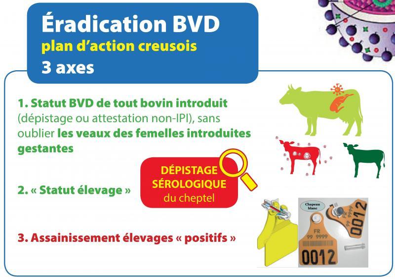 Éradication BVD et alerte FCO | Agriculture Massif central | PAMAC