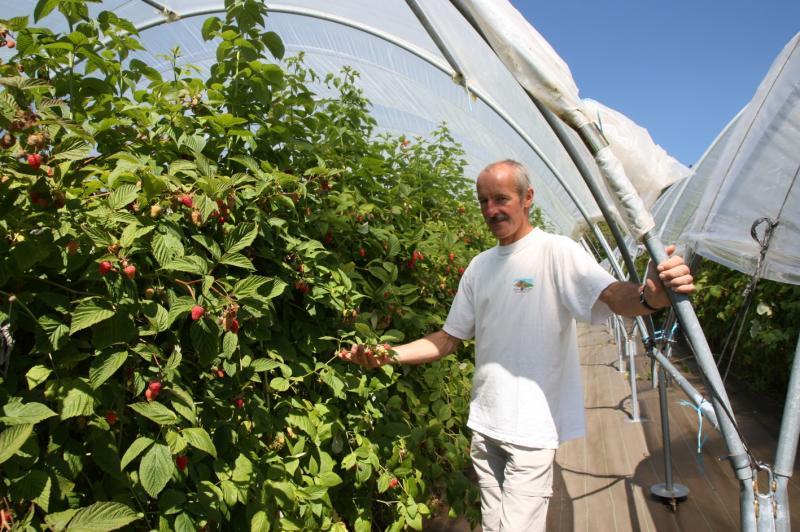 Video : Fruits rouges des Monts du Velay | La pleine saison de ...
