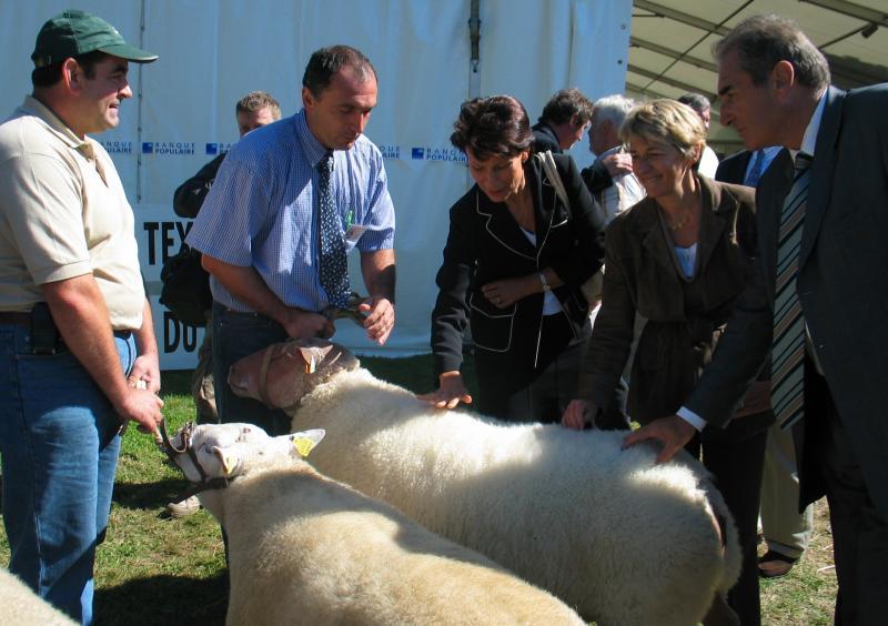 Tech-Ovin | Au rendez-vous national de la filière ovine à Bellac en ...