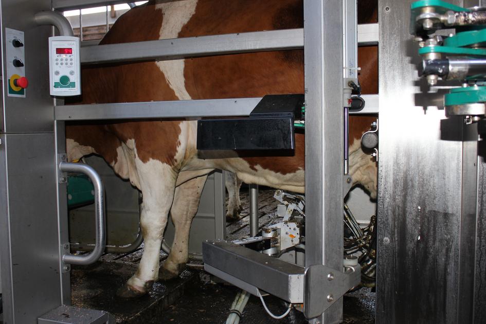 Conjoncture | Le prix du lait en France est l’un des plus faibles d ...