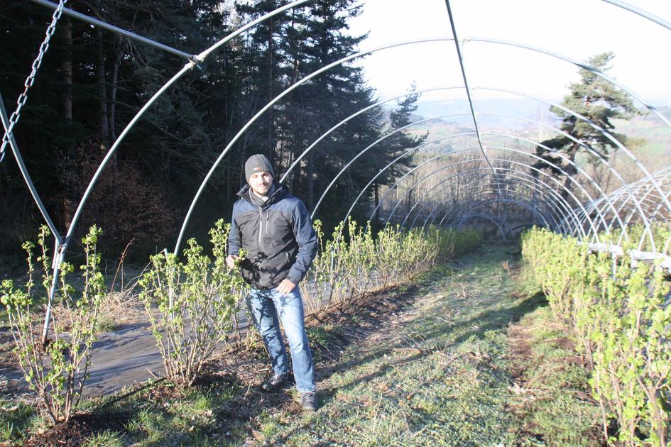 Emeric Duclaux | Une exploitation clés en main pour Emeric ...