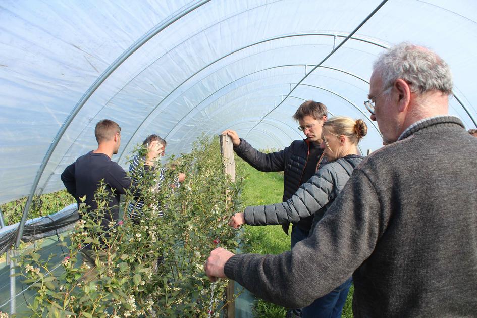 Fruits rouges | Les bons résultats des Fruits rouges des Monts du Velay ...