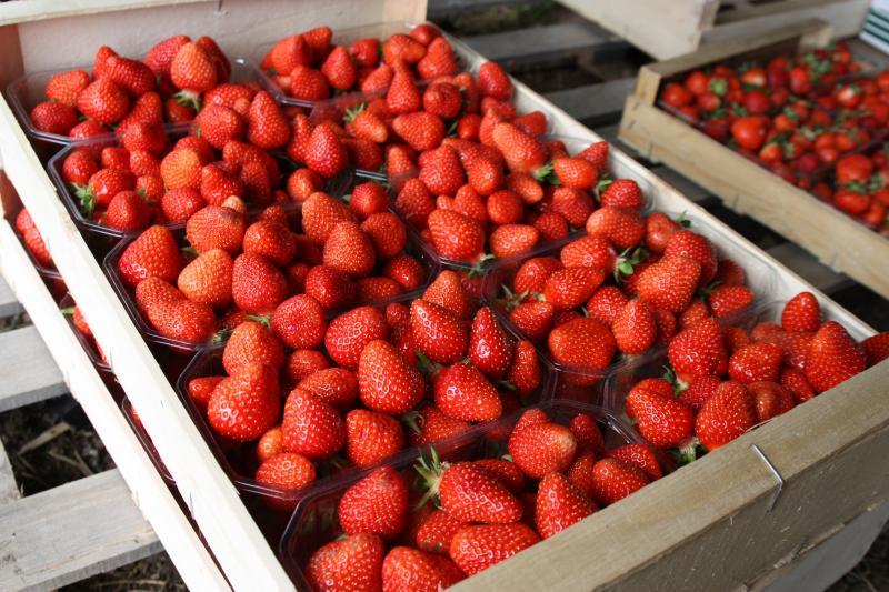 Fruits | 2013, une année difficile pour les fruits rouges des Monts du ...