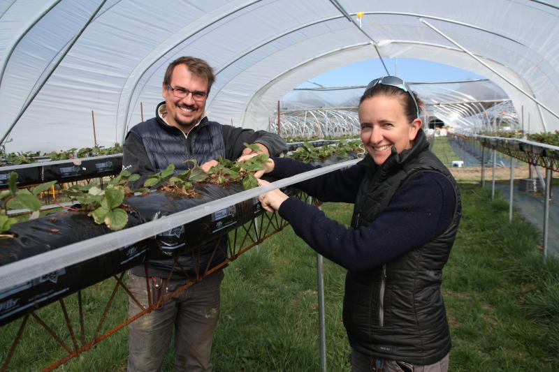 Les fruits rouges : une révélation | Agriculture Massif central | PAMAC